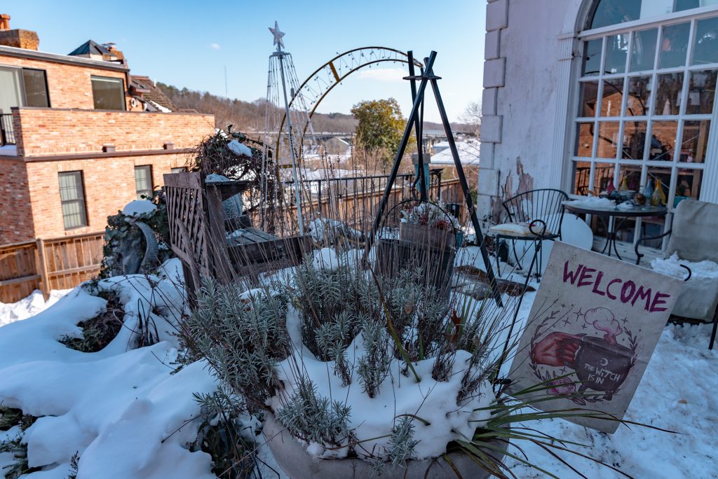 Occoquan Regional Park Ultimate Guide (By a Local!) 2025