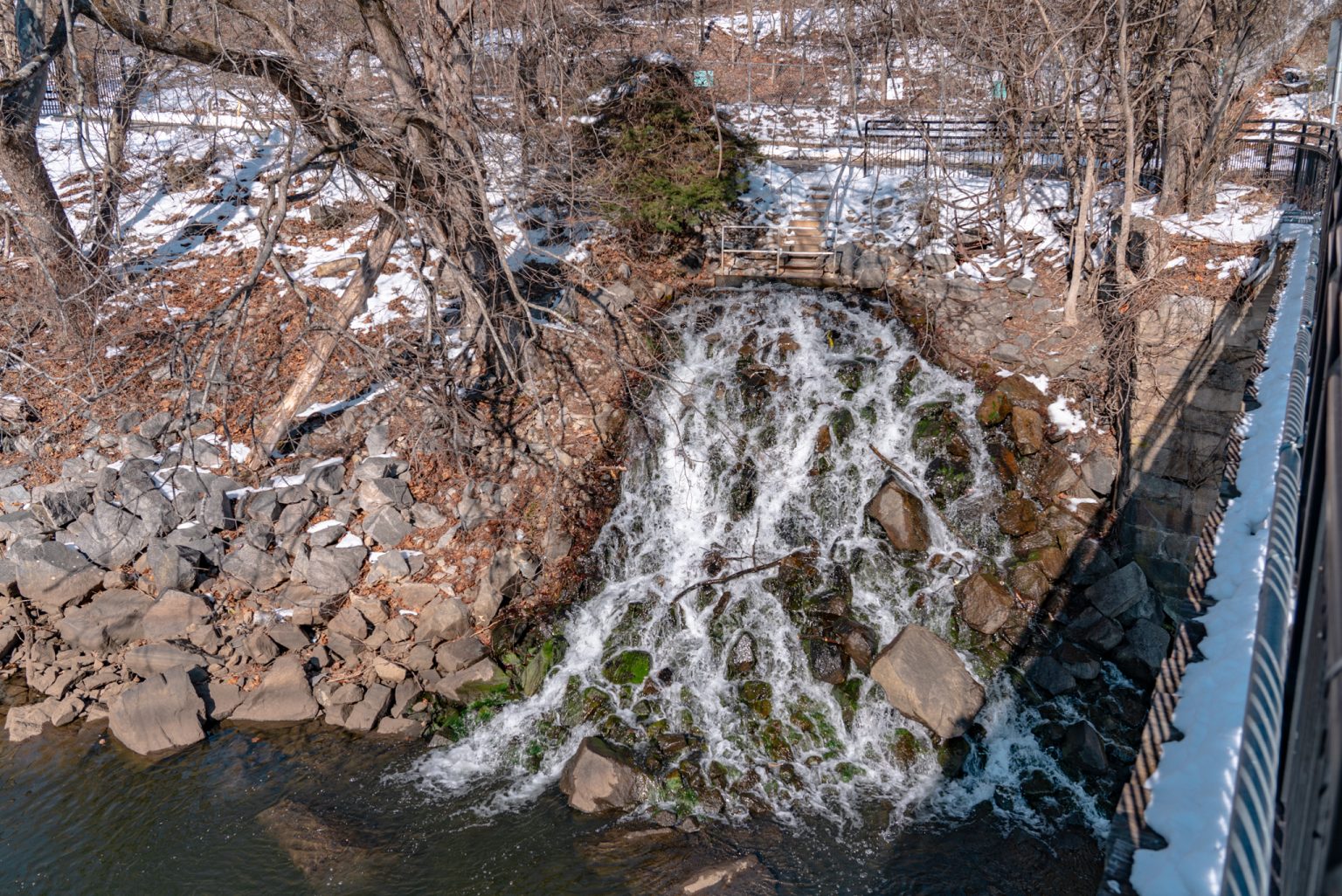 Occoquan Regional Park Ultimate Guide (By a Local!) 2026