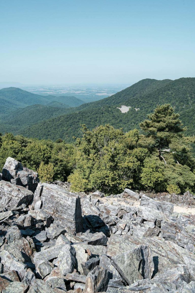 Is Virginia Worth Visiting? 10 Beautiful Things to Do in the State (2026)
